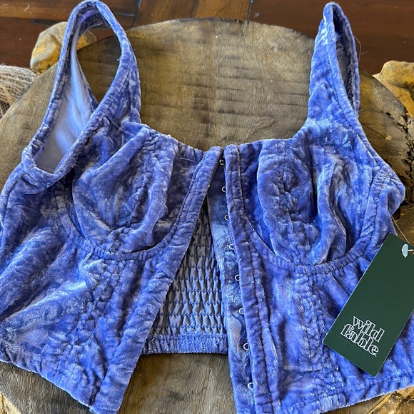 wild fable | Tops | Wild Fable Juniors Xs Crushed Velvet Corset Crop ...
